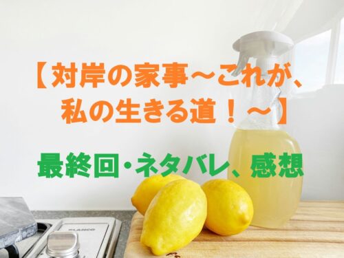 【対岸の家事】最終回ネタバレ感想！詩穂、礼子、中谷、それぞれの道は続いていく！ | dorama9