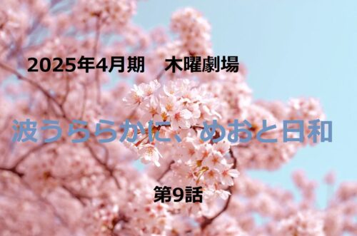 【波うららかに、めおと日和】9話の感想！強い絆で結ばれた2人を待つのは？ | dorama9